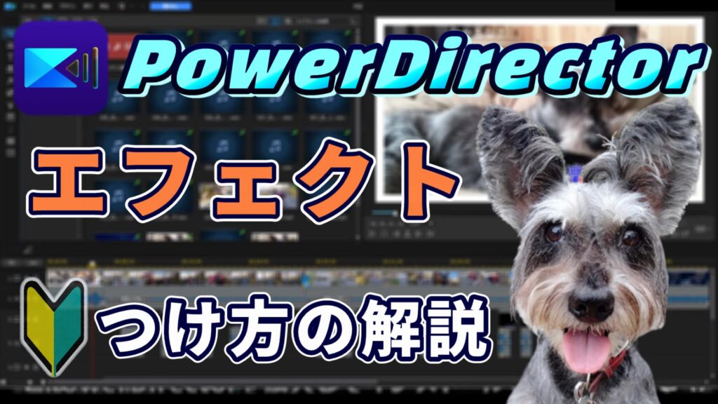 PowerDirectorのエフェクトのつけ方を解説【初心者向け】 | 楽ちんブログ